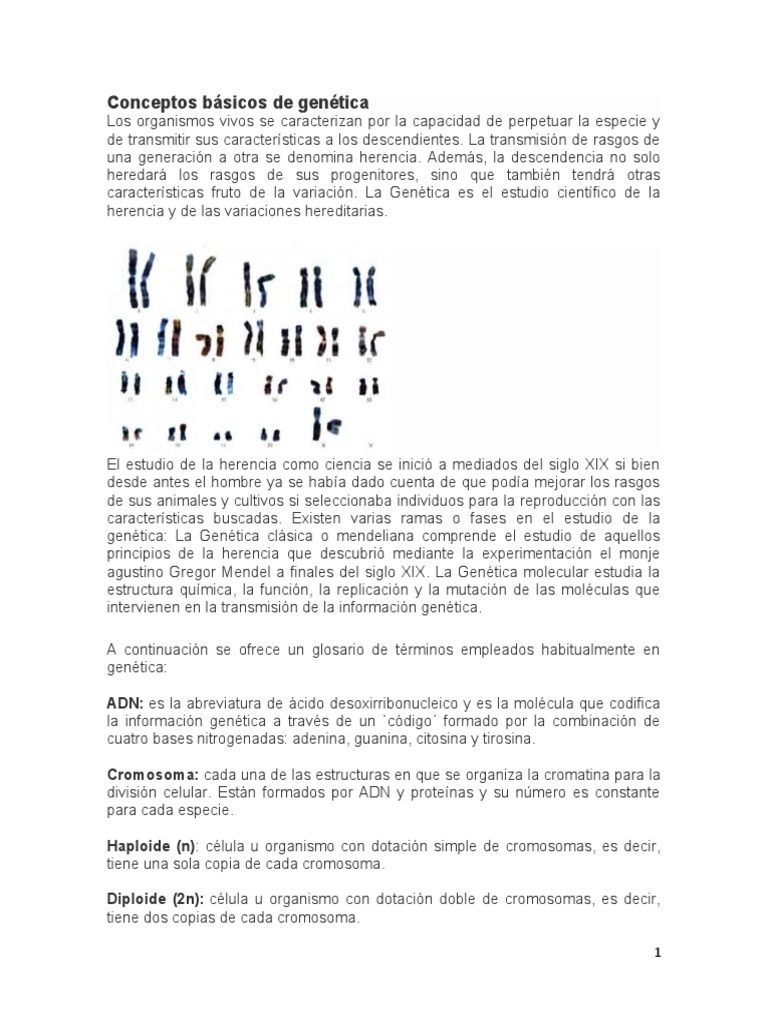 Conceptos básicos de la genética: una introducción a la herencia, los genes y la variación ...