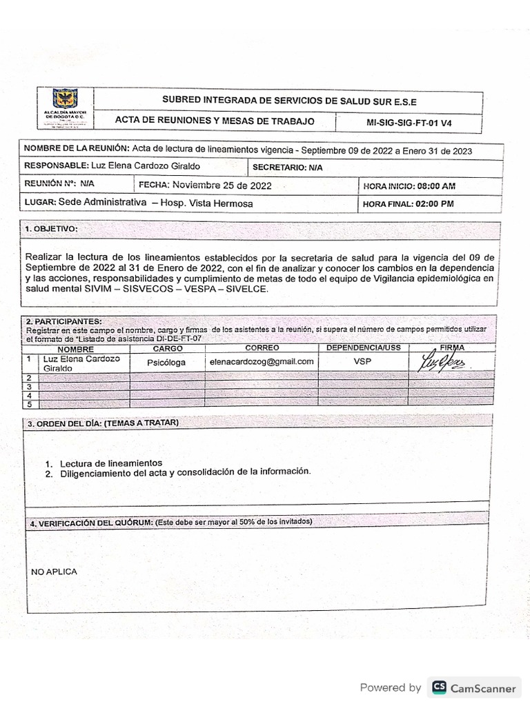 Acta Induccion Lineamientos VSP - Elena Cardozo | PDF