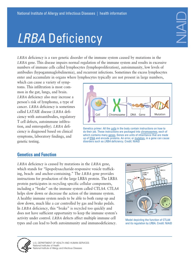 LRBA Deficiency: National Institute of Allergy and Infectious Diseases - Health Information | PDF
