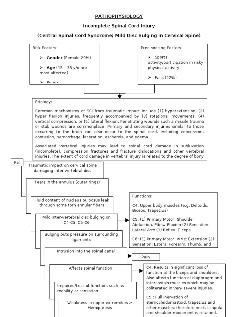 Patho Physiology Spinal Cord Injury | PDF | Spinal Cord Injury | Spinal ...
