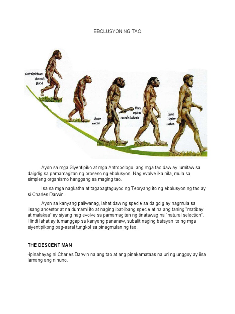 Ebolusyon NG Tao | PDF