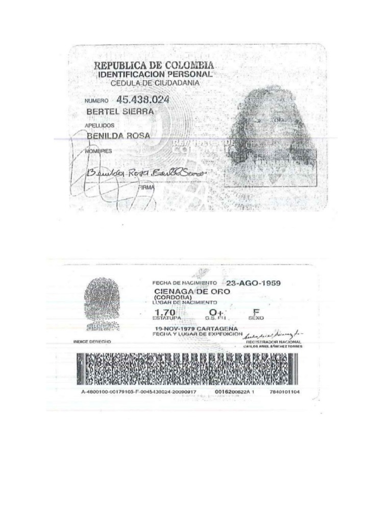 Registro y Cedula Luis | PDF