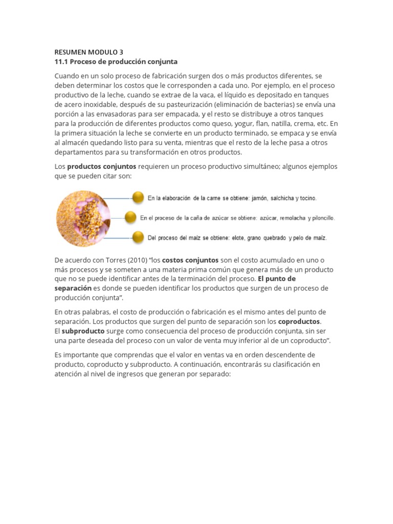 Resumen Modulo 3 | PDF