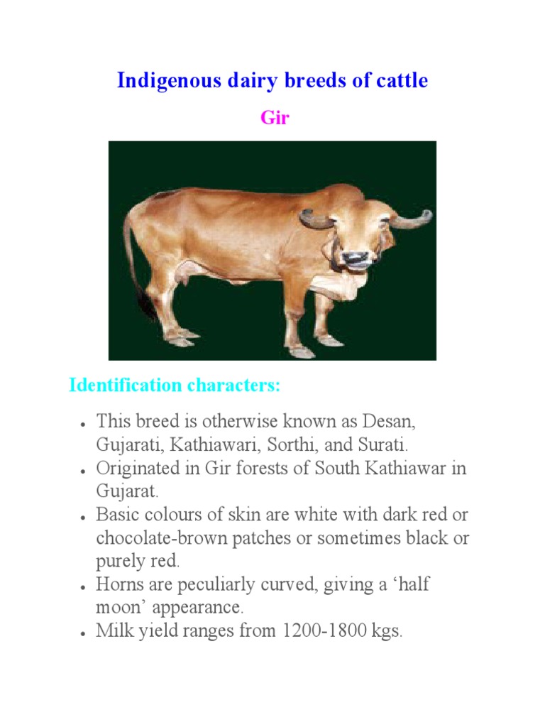 Cattles | PDF