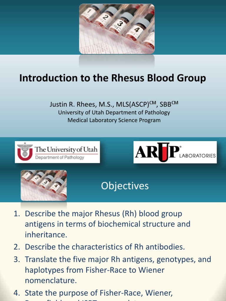 Introduction To The RH Blood Group | PDF