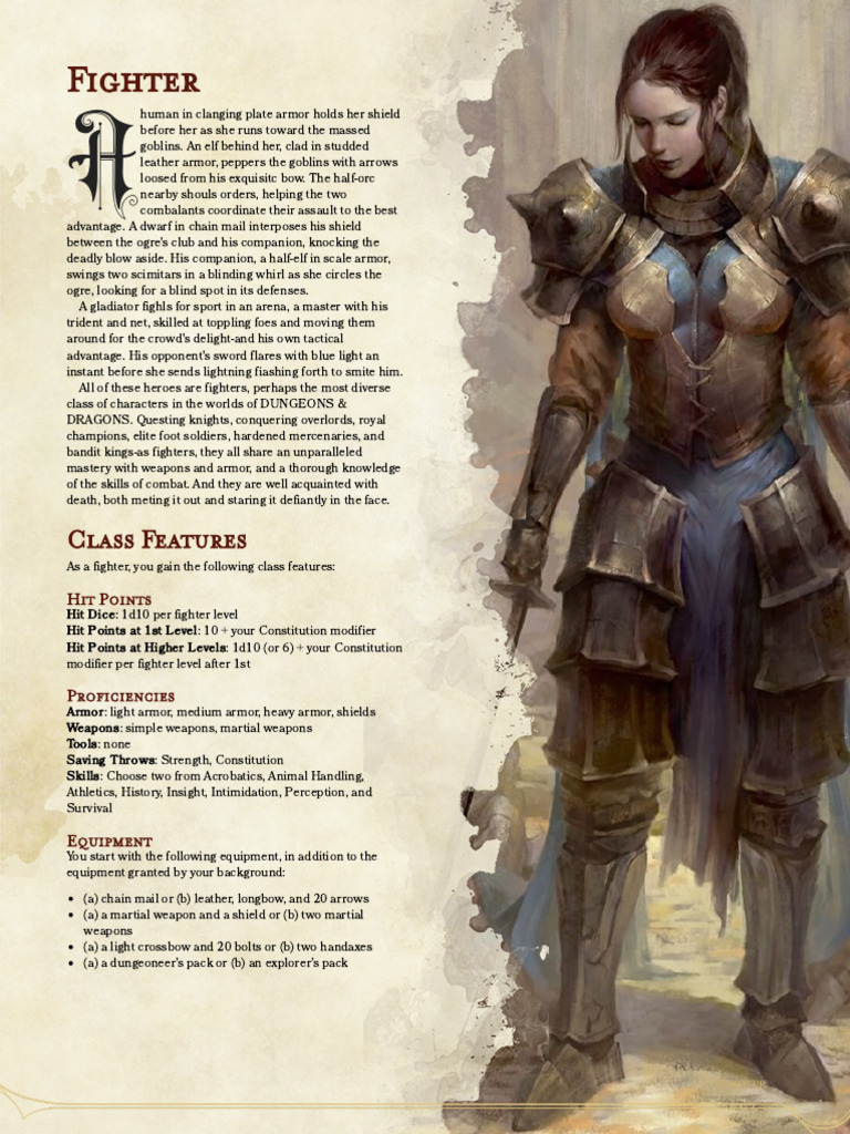 TDC Fighter 5e | PDF