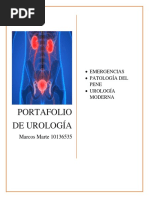 Anatomía del Escroto y Testículos | PDF | Testículo | Especialidades ...