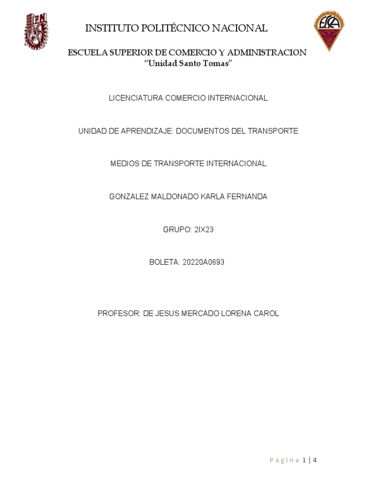 Documentos Del Transporte - Gonzalez Maldonado Karla Fernanda | PDF | Guía de carga | Transporte