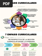 Temas Generadores PRIMARIA | PDF | Ciencias sociales | Informática