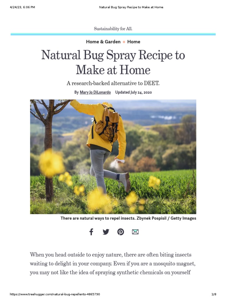 Natural Bug Spray Recipe To Make at Home | PDF