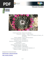 Fauna Diversa de Michoacán | PDF | Mamíferos | Zoología