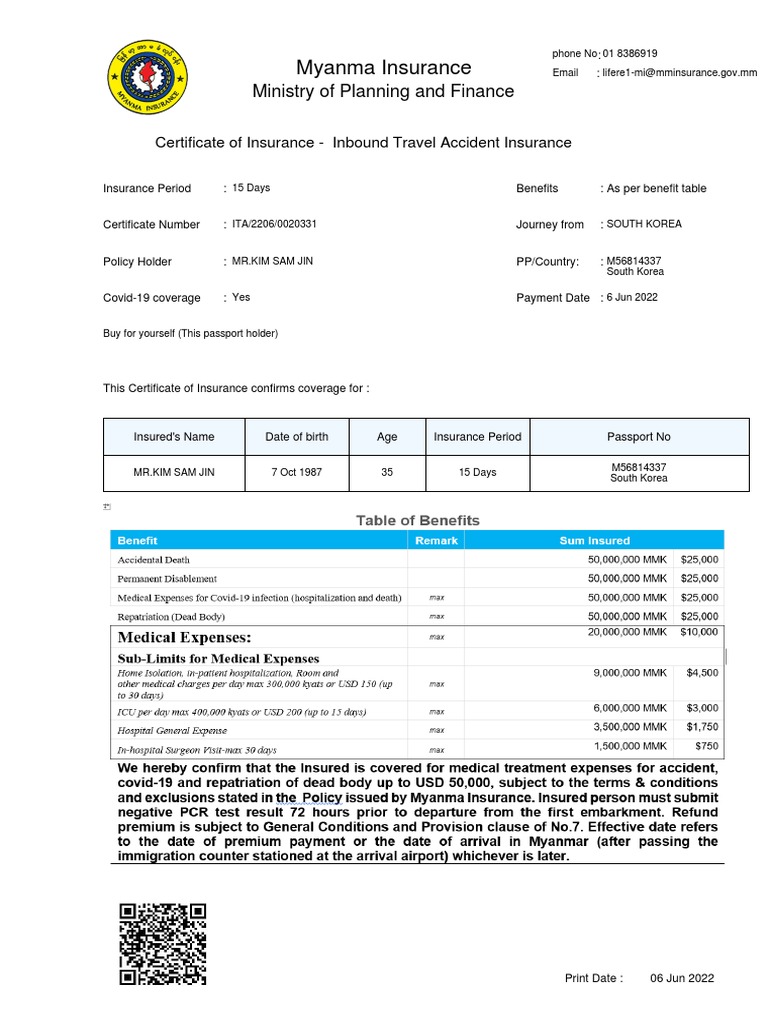 Myanma Insurance: Ministry of Planning and Finance | PDF | Insurance ...