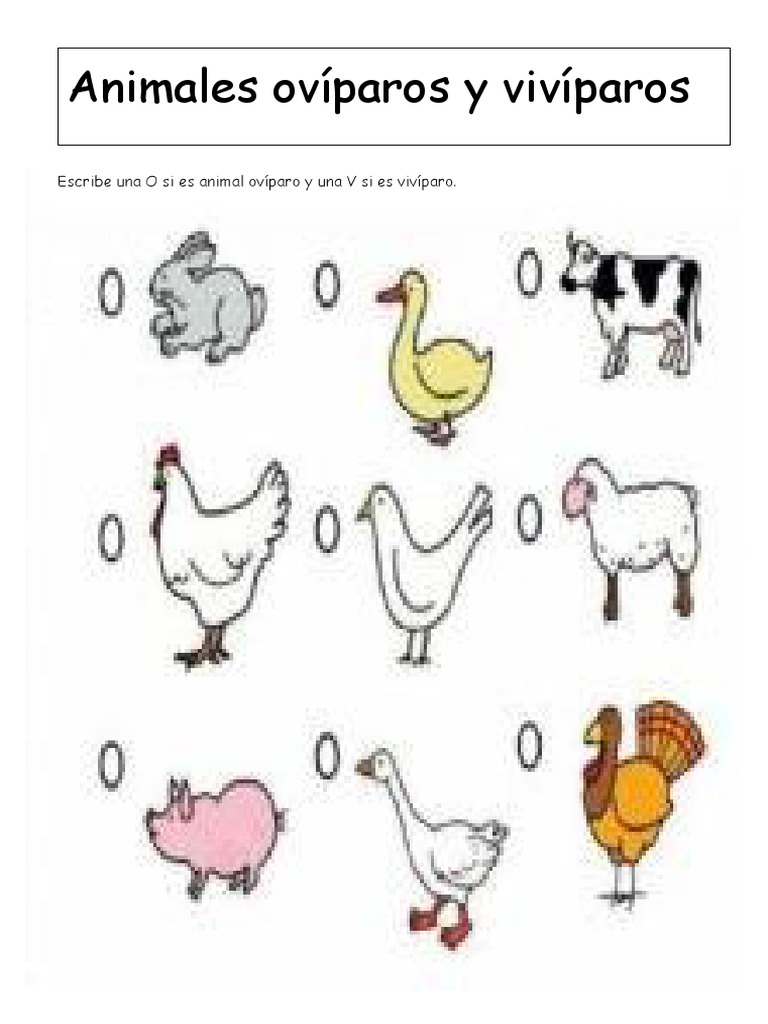 Tarea de Los Animalkes Ovíparos y Vivíparos | PDF
