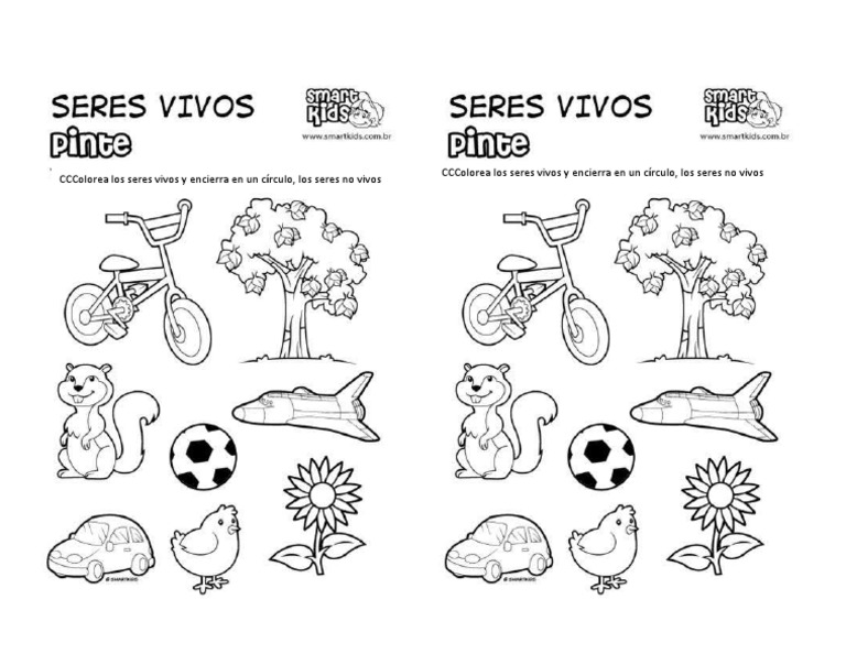 FICHA 1.seres Vivos No Vivos 3 | PDF