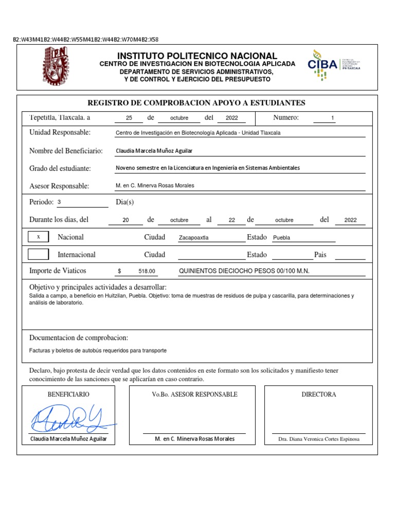 Formato Administrativos | PDF