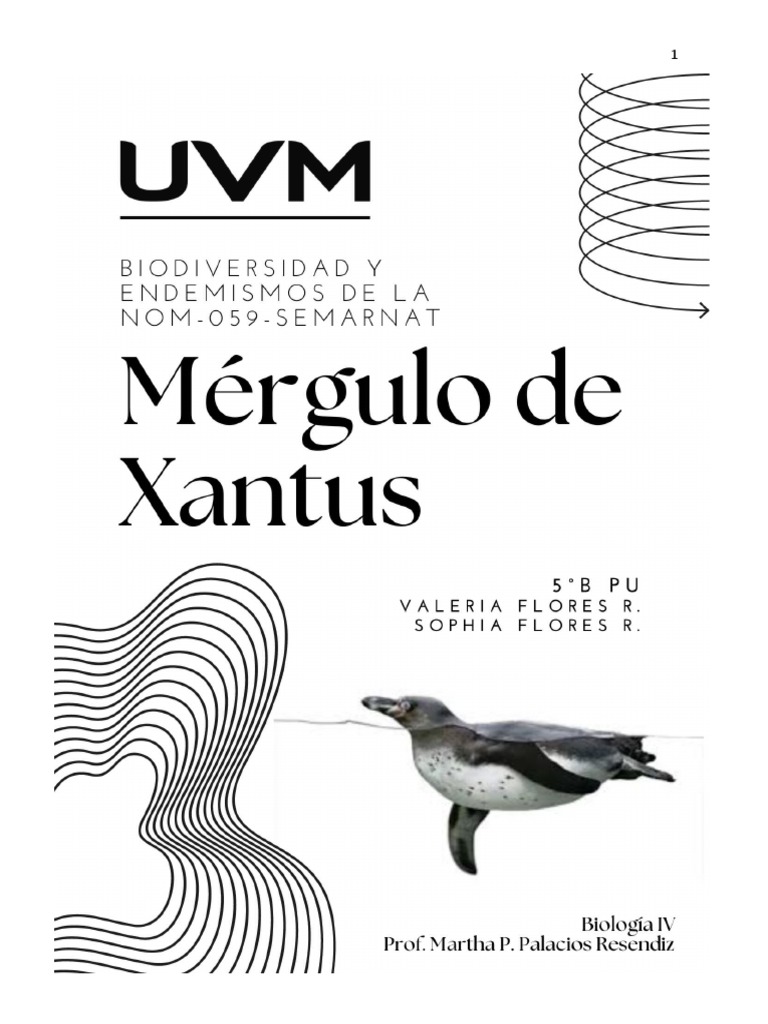 Mergulo de Xantus | PDF | Especie en peligro | Biodiversidad