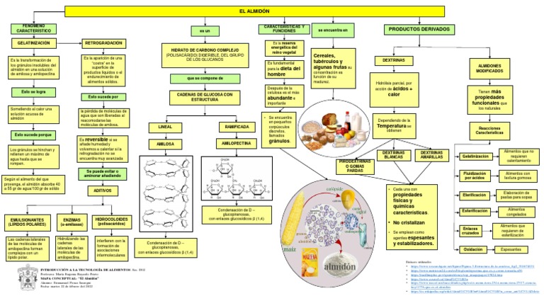 MAPA CONCEPTUAL. El Almidón | PDF | Almidón | Compuestos orgánicos
