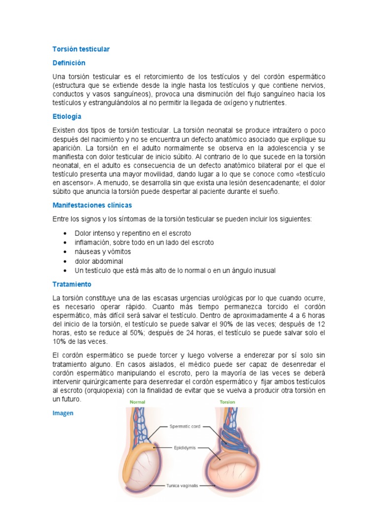Torsión Testicular | PDF | Testículo | Enfermedades y trastornos humanos