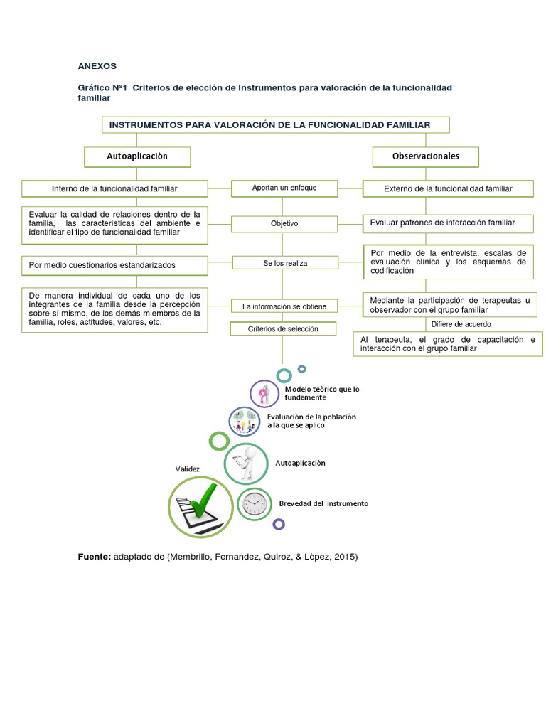 Instrumentos y Tecnicas en Atencion Familiar | PDF | Evaluación | Toma de decisiones