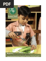 Sensory Integration Therapy New | PDF | Somatosensory System | Perception