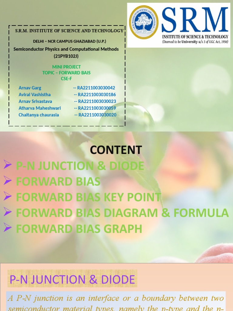 Physics Mini Project | PDF