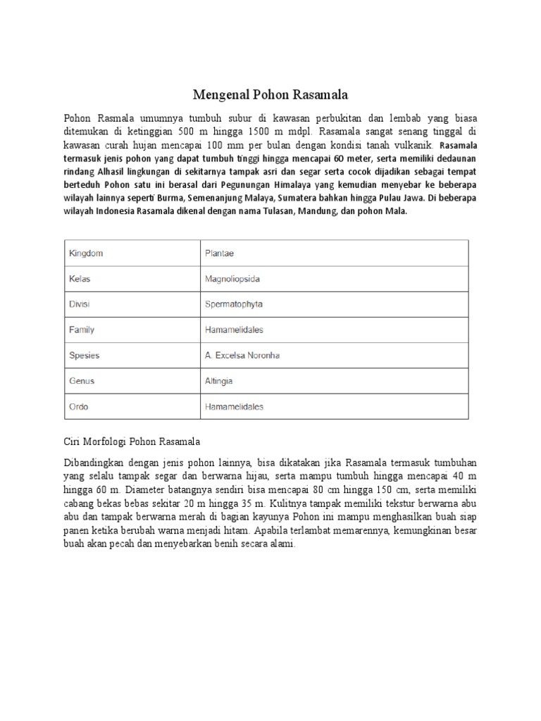 Pohon Rasamala and Pohon Bayur | PDF | Agama & Spiritualitas