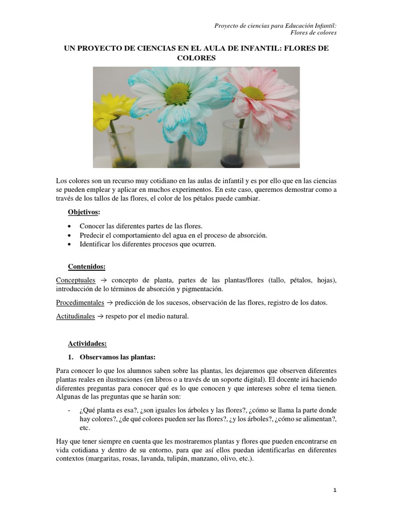 Un Proyecto de Ciencias en El Aula de Infantil Las Flores | PDF | Color ...