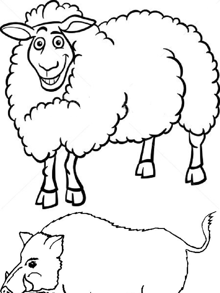 Animale de colorat | PDF