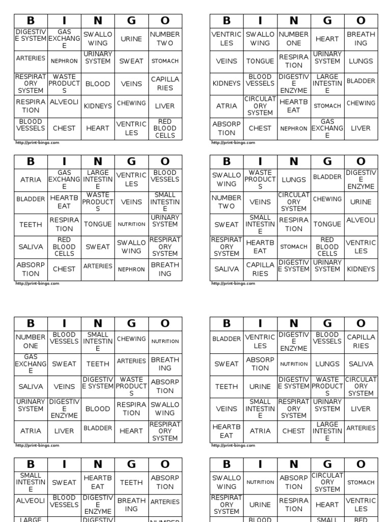 Bingo Cards 2x2 | PDF | Kidney | Urinary Bladder