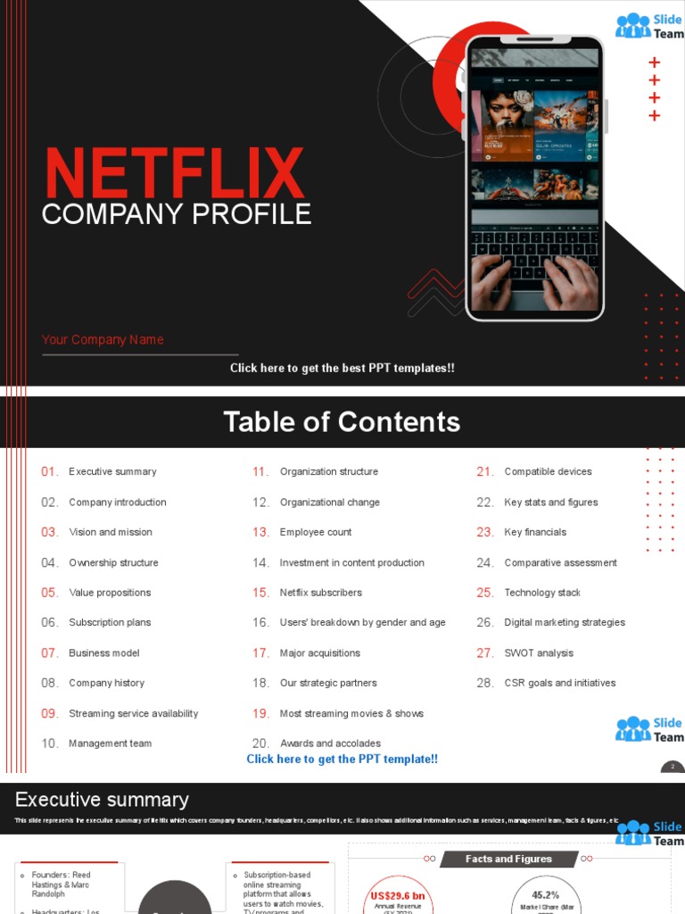 Netflix Company Profile | PDF | Netflix | Video On Demand