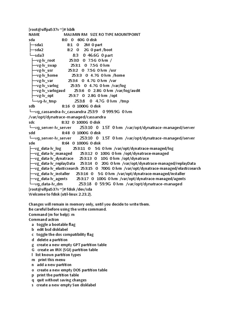 Drive Extension Using LSBLK | PDF | Computer Architecture | Computer Data Storage