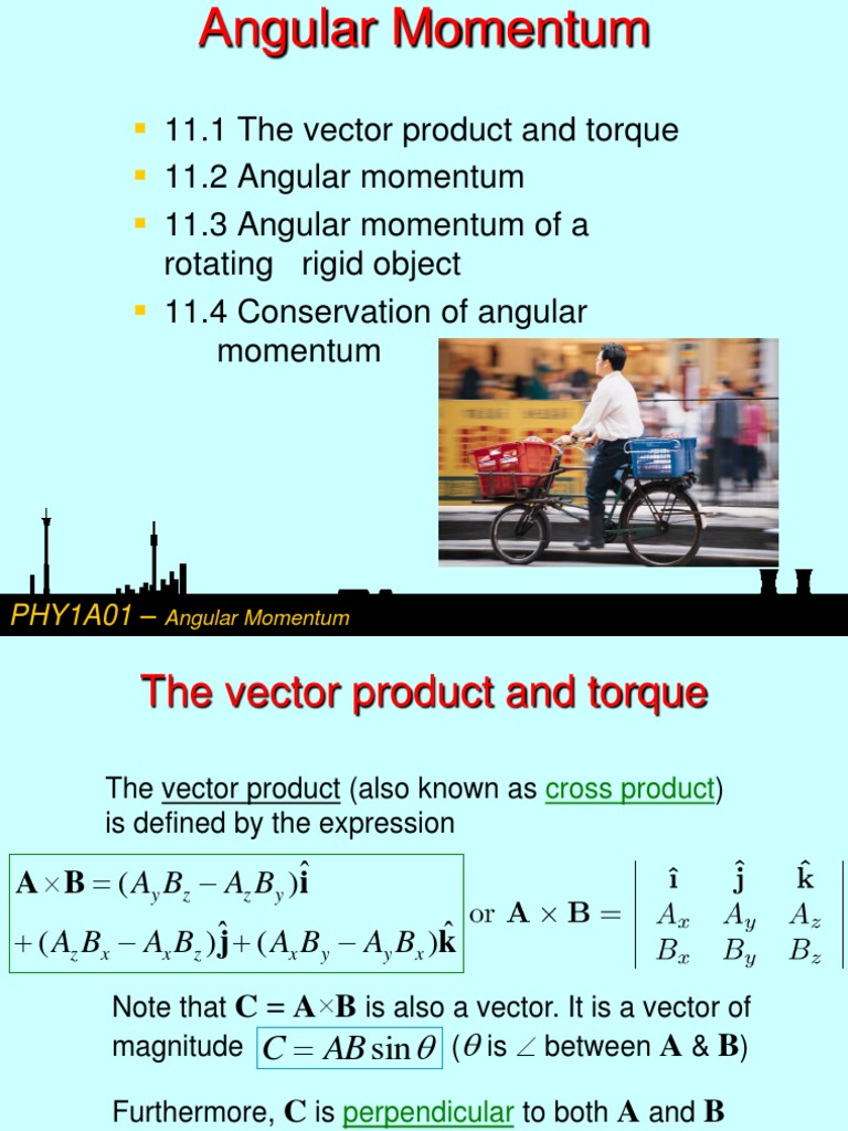 Chapter 11 | PDF | Angular Momentum | Torque