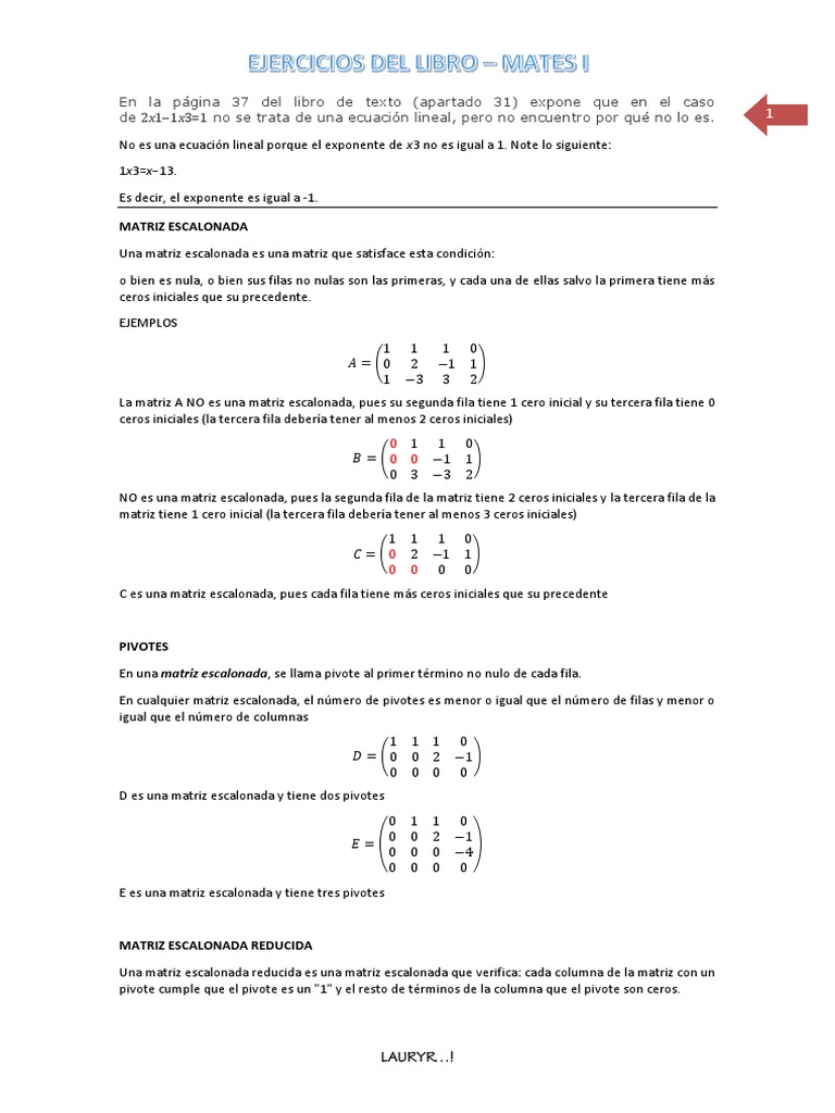 Solucionario Libro - Ejercicios 20-21 | PDF | Matriz (Matemáticas) | Ecuaciones