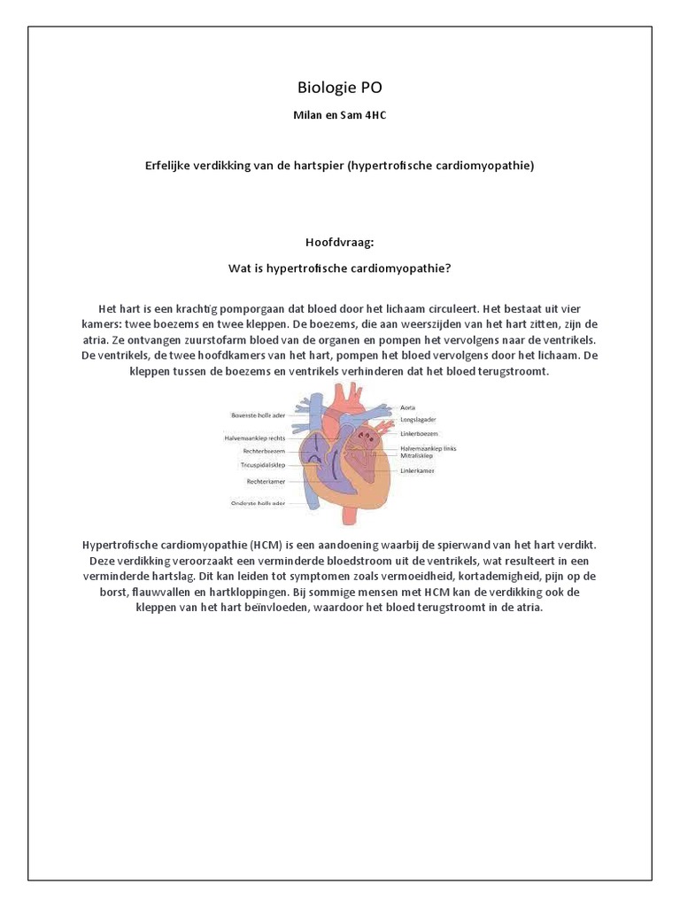 Biologie PO: Erfelijke Verdikking Van de Hartspier (Hypertrofische ...