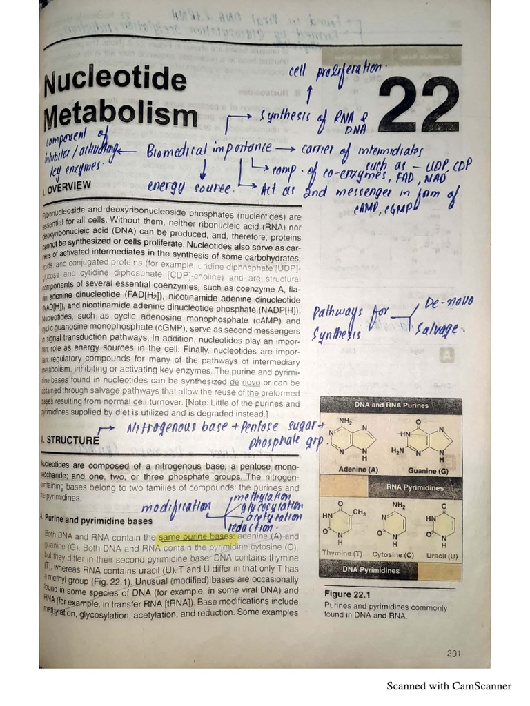 Endocrinology From Lippin and Harper | PDF