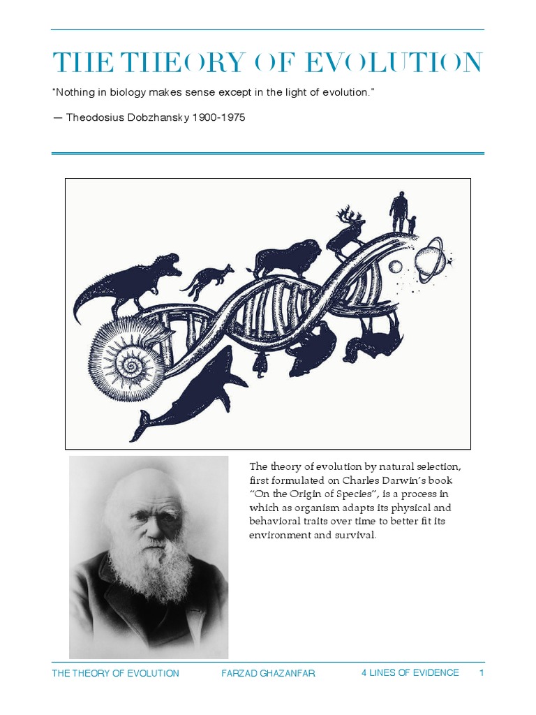 Evolution's Four Pillars of Evidence | PDF | Gene | Evolution