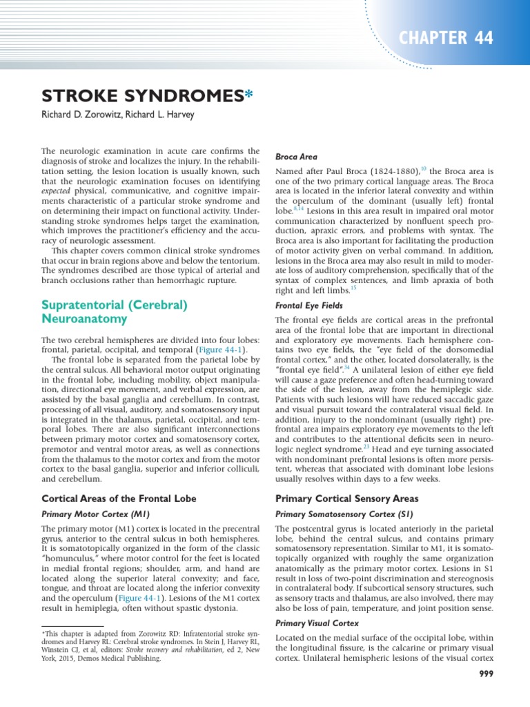 Stroke Syndromes | PDF | Cerebral Cortex | Parietal Lobe