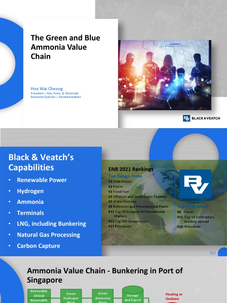 Ammonia Value Chain in Singapore | PDF | Renewable Energy | Natural Gas