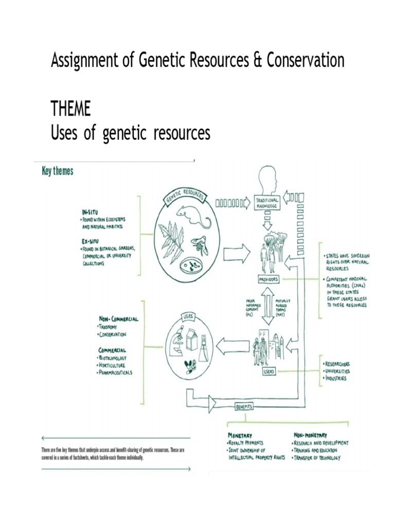 Assignment of Genetic Resources & Conservation Theme Uses of Genetic Resources | PDF ...