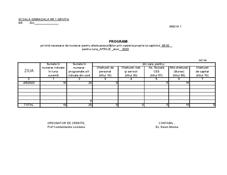 Program Necesar Numerar | PDF