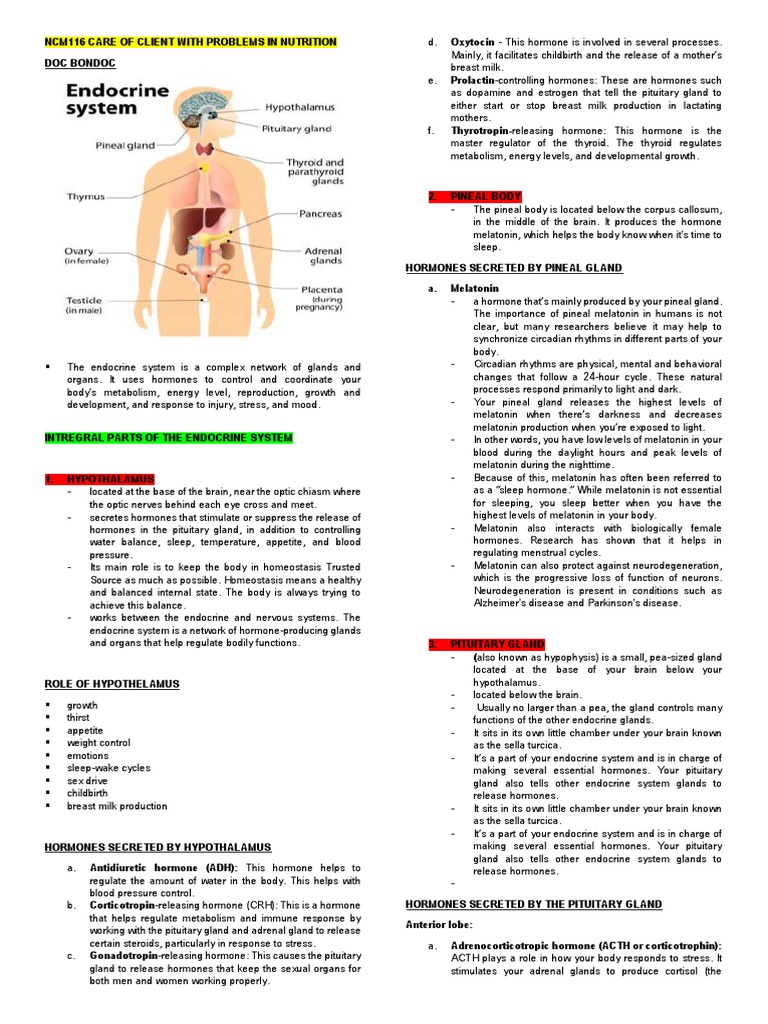 ENDOCRINE SYSTEM NCM116 MIDTERM_XC | PDF | Menstrual Cycle | Adrenal Gland