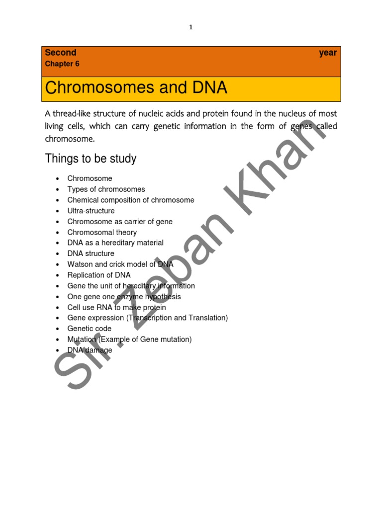 Exploring the Genetic Material: An In-Depth Look at Chromosomes, DNA Structure, and the ...
