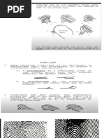 Henry Classification System With FBI Modifications | PDF | Fingerprint ...