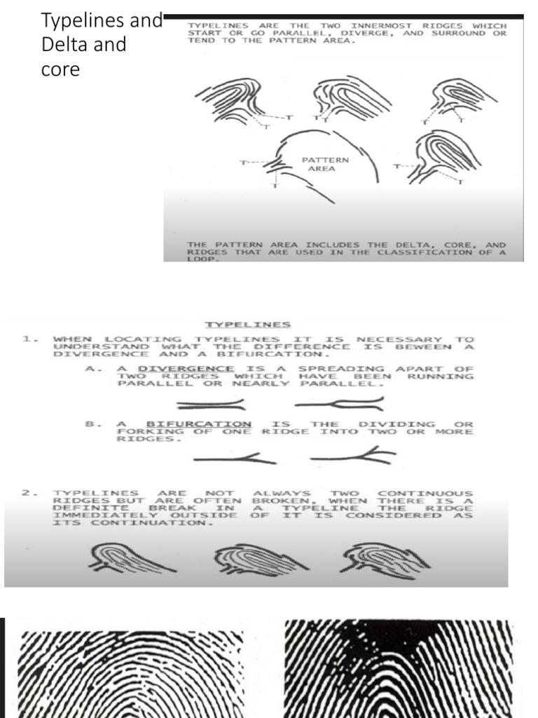 Typelines and Delta and Core | PDF | Fingerprint | Hand