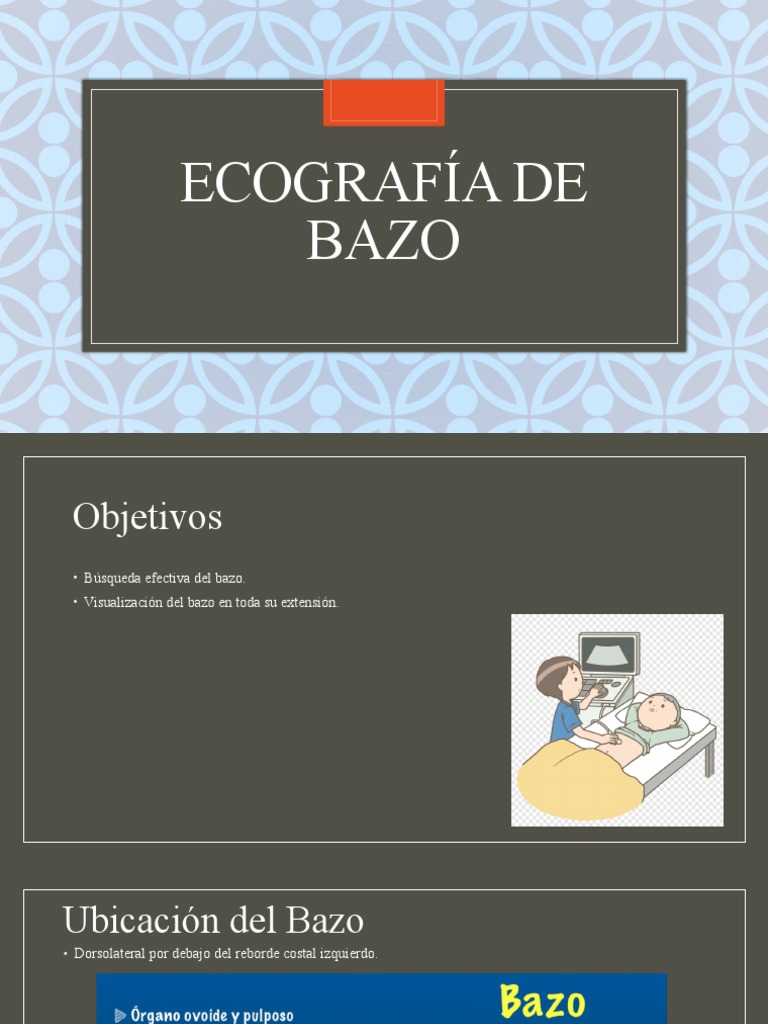 Ecografia Bazo | PDF