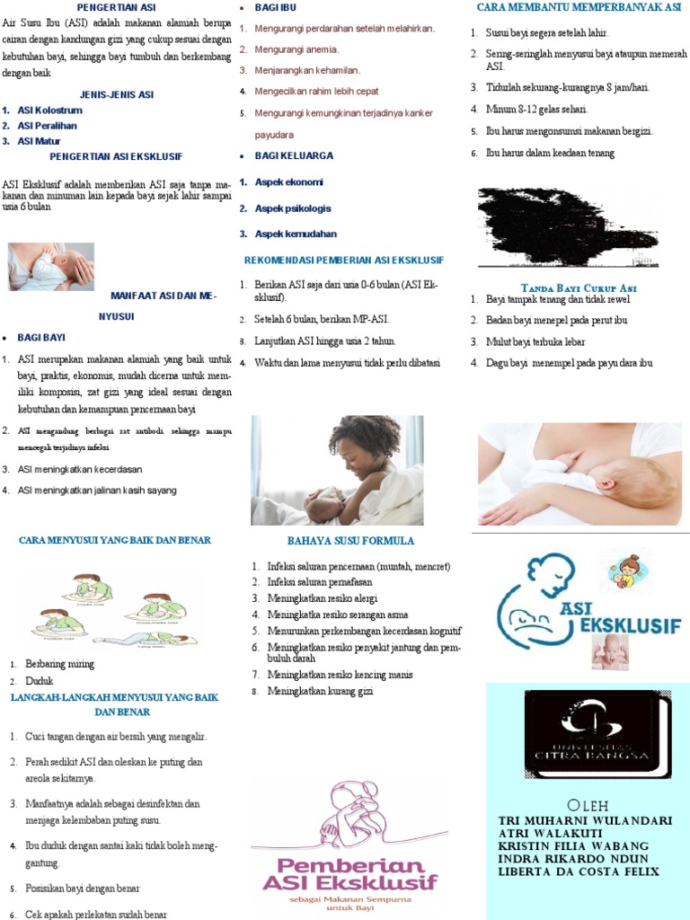 Manfaat dan Panduan ASI Eksklusif | PDF