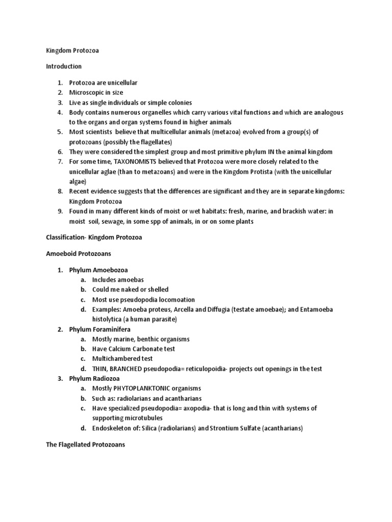 Lab Practical 1 | PDF | Protozoa