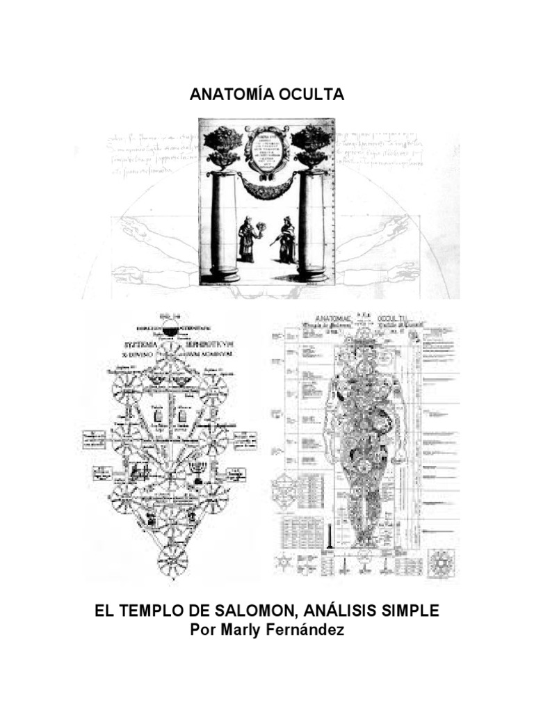 Anatomía Oculta | PDF | Cerebro | Sistema nervioso