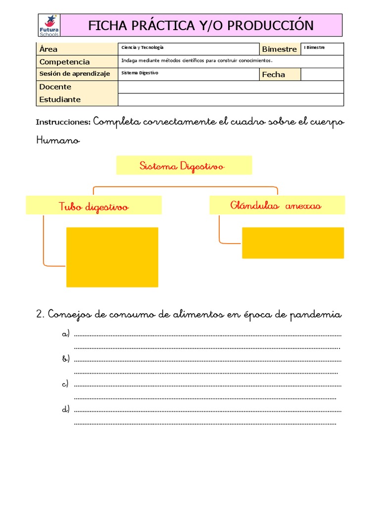 CIENCIA Y TEC. - Sistema Digestivo | PDF