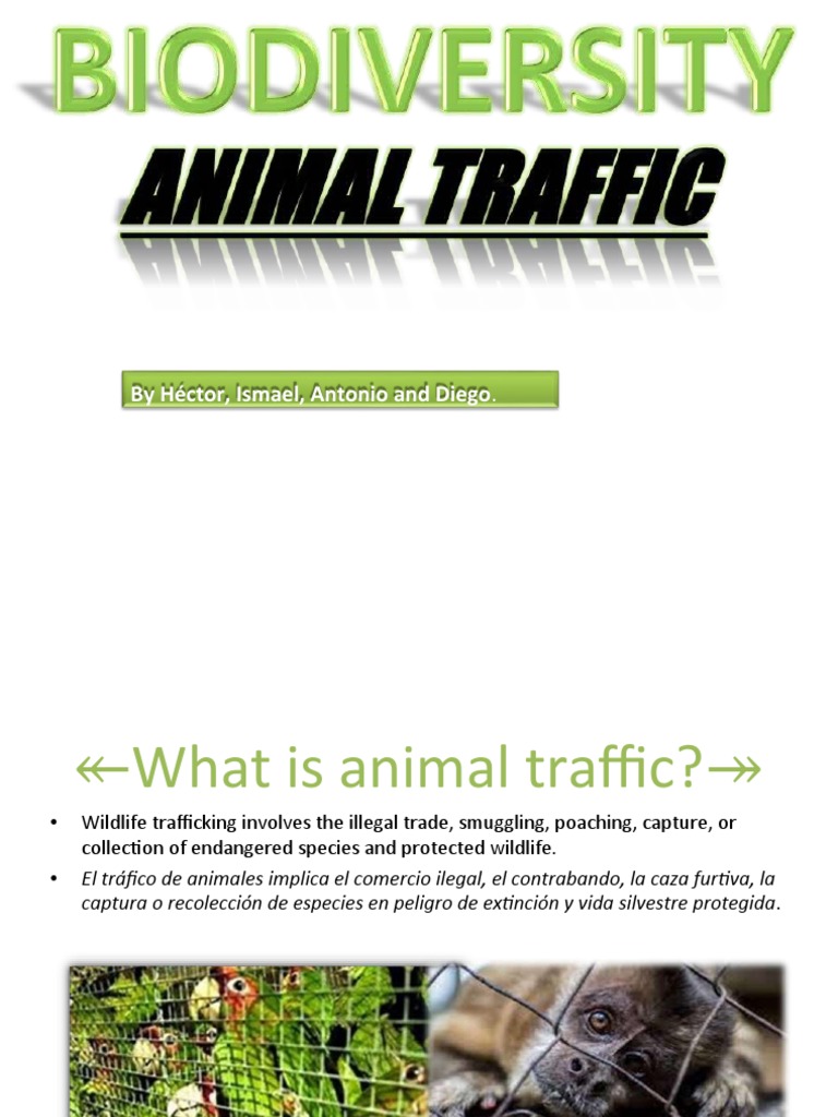Tráfico Ilegal de Animales | PDF | Biogeoquímica | Organismos